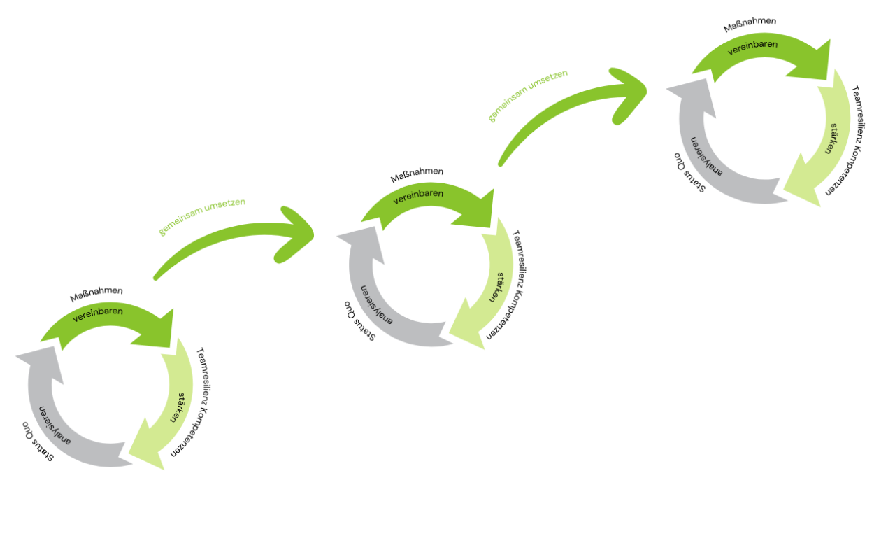 Team-Resilienz - brigittehettenkofer.de